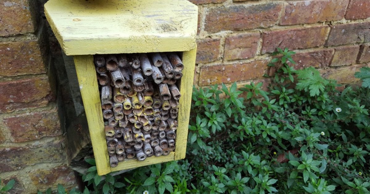 Make a simple bug hotel - Thrive
