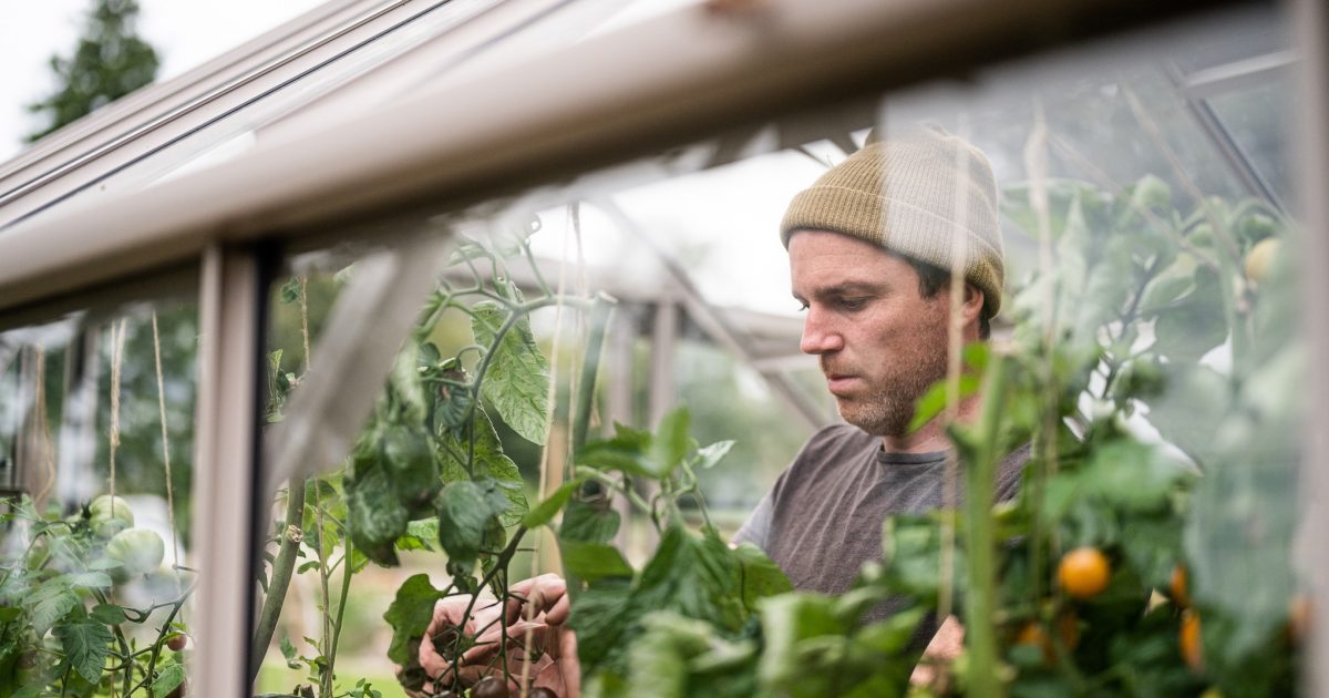 Growing in the greenhouse in winter - Thrive