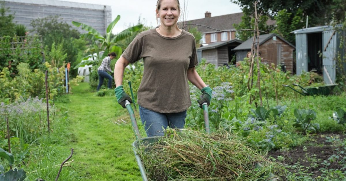 Tips to make moving things in the garden easier - Thrive
