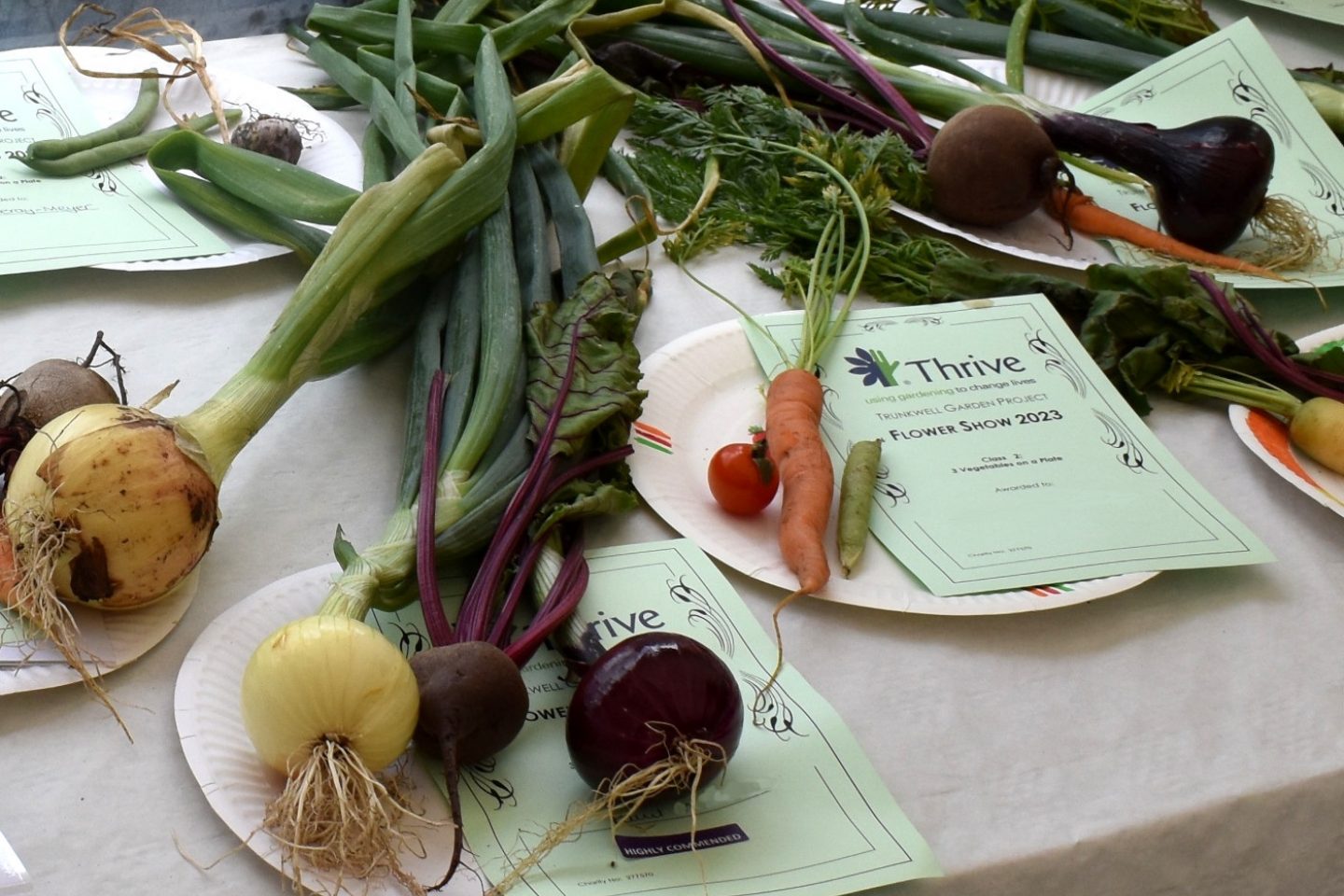 How to hold your own flower show - Thrive