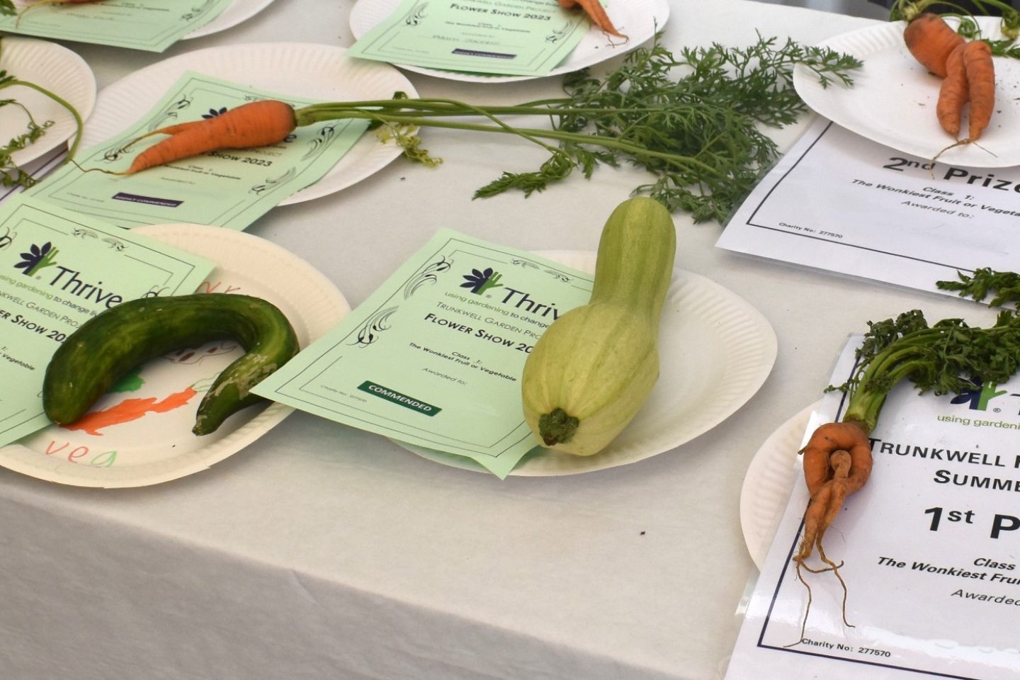 How to hold your own flower show - Thrive