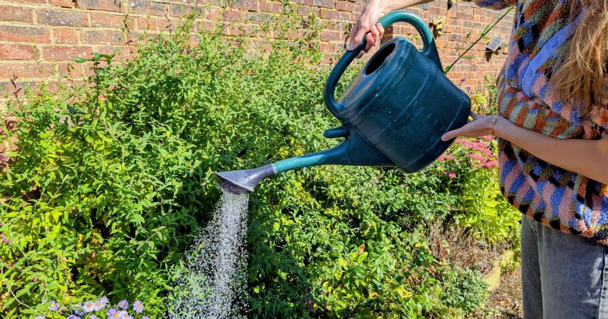Gardening tips from the autistic community - Thrive
